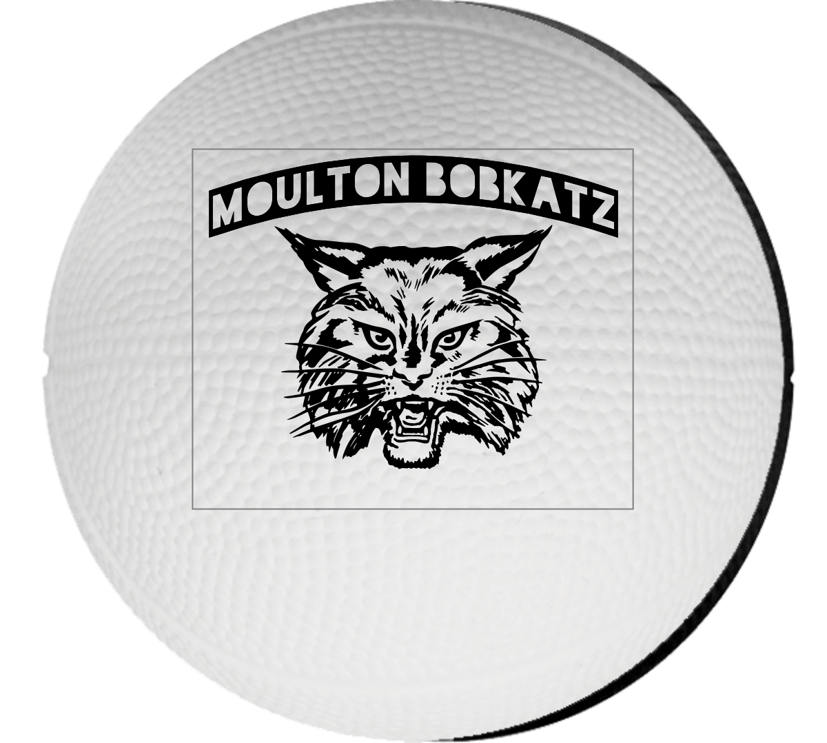 Custom Foam Basketball (2-tone) - Boosters Incorporated